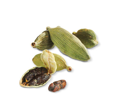 Cardamomo: proprietà, gusto, abbinamenti | Ubena