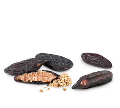 Fava Tonka: proprietà, sapore, abbinamenti | Ubena